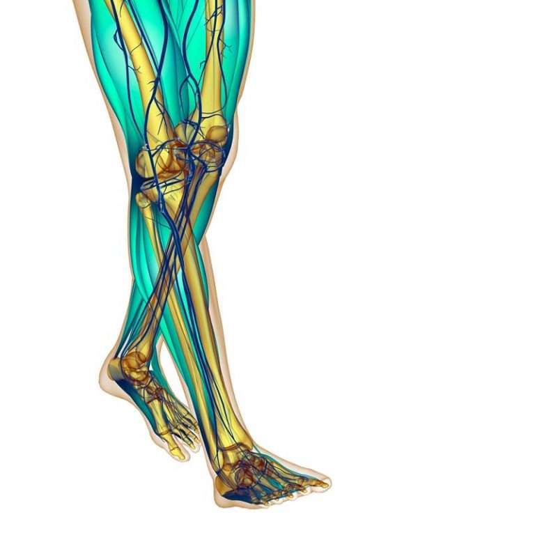 Online Store - TalarMade Ltd