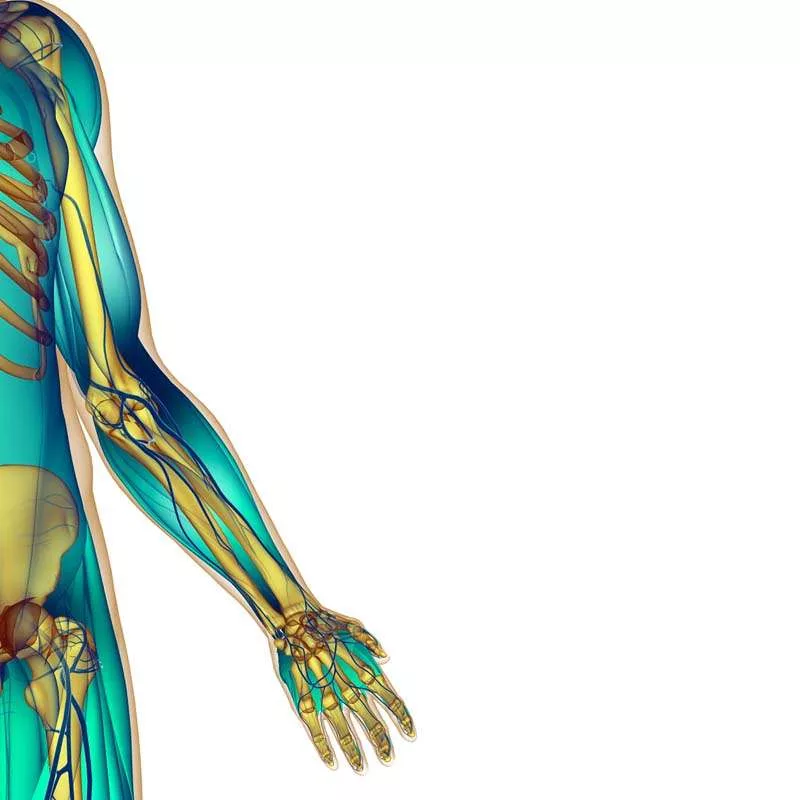 Upper Limb - TalarMade Ltd